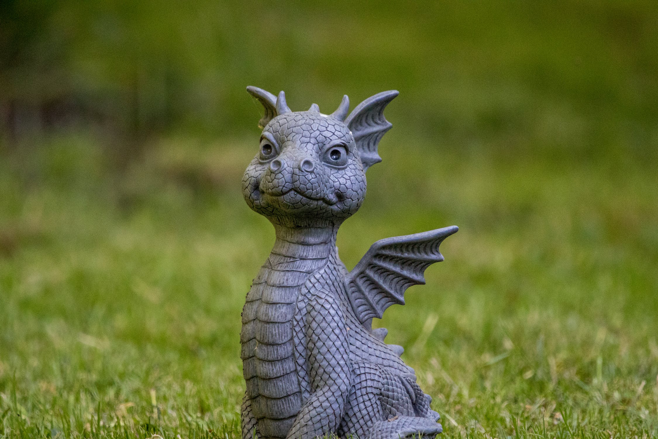 A Basic History of Dragons… – The Retellings Review (and Fairy Tales Too!)